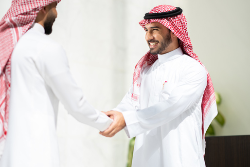 How might Saudi Arabia's third sector be developed through public ...