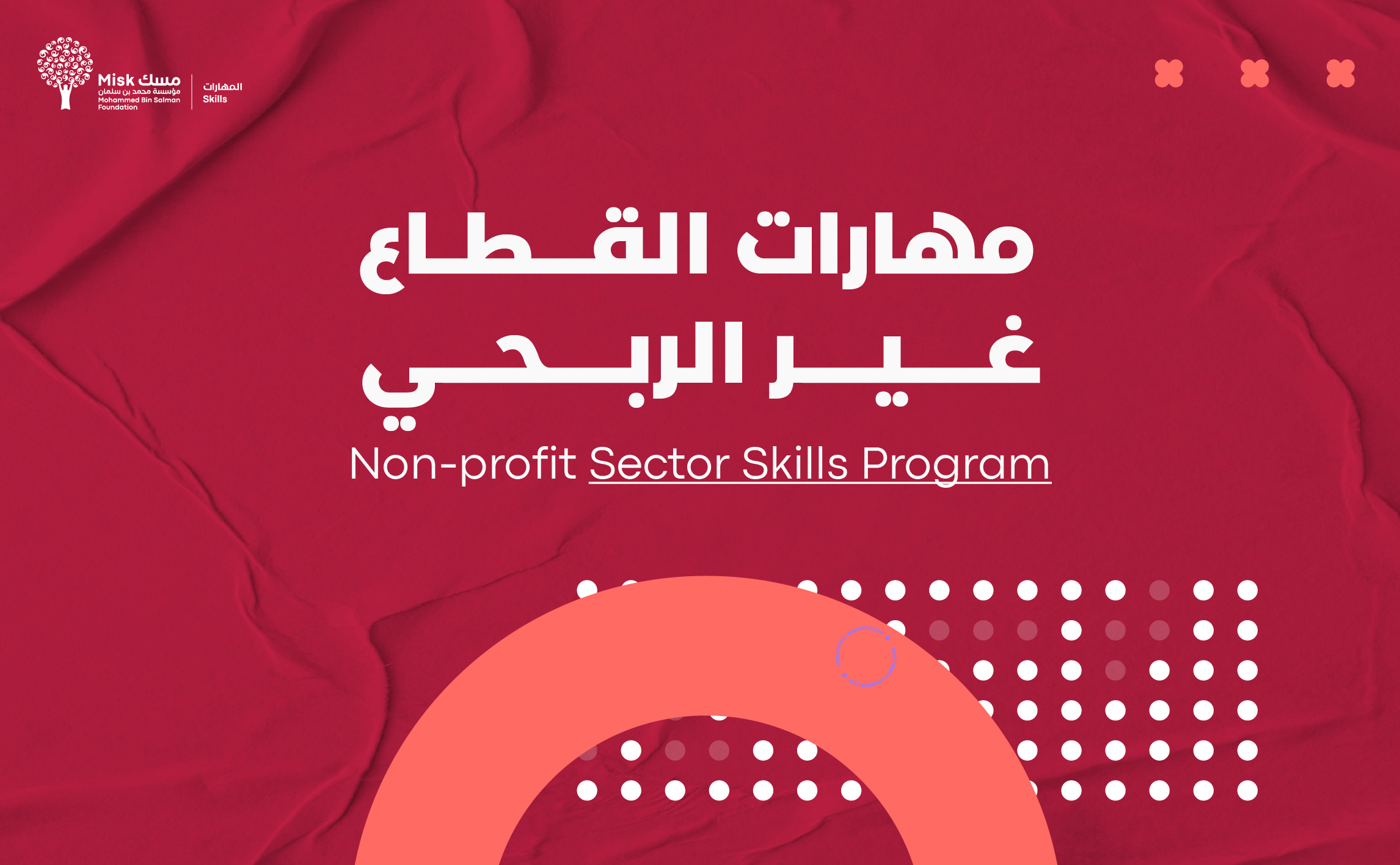 Nonprofit Sector Skills Program
